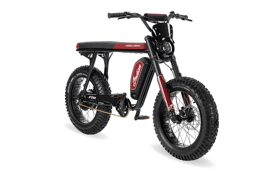 2025 eFTR Electric Lineup - Dillon Brothers